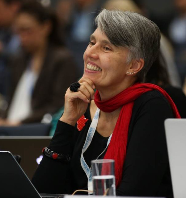 South African scientist hopes to head world’s most important climate change body | GroundUp